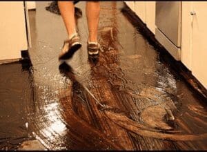 Citrus King Floor Adhesive Remover